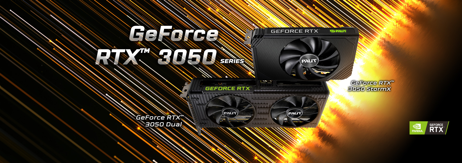 Palit Microsystems Ltd